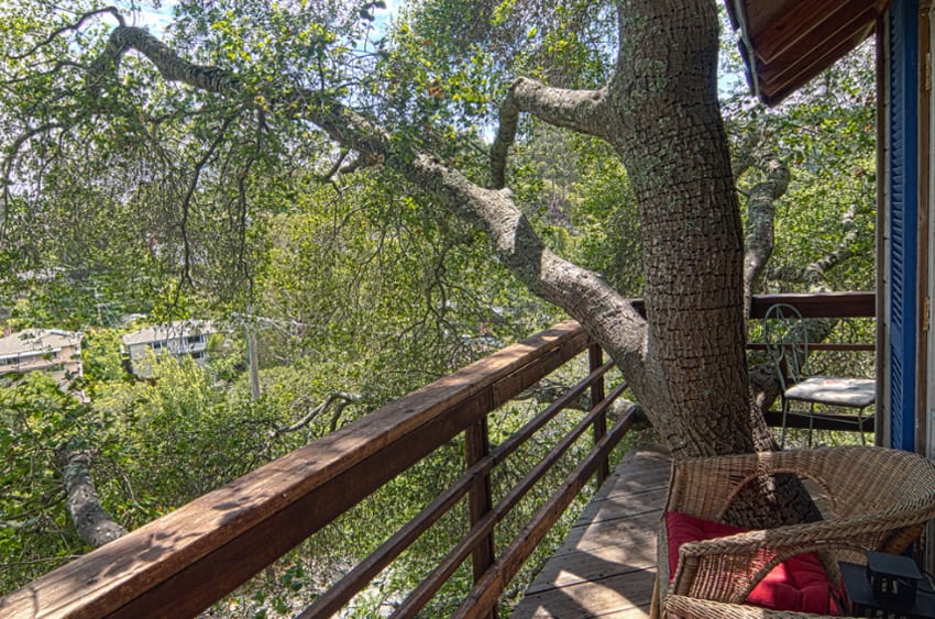 Magical treehouse within a fairytale garden