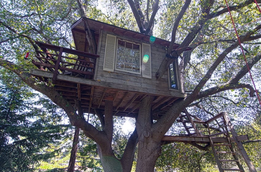 Magical treehouse within a fairytale garden