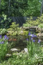 56 Visually Striking Pond Design Ideas For Your Backyard