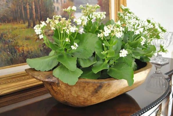 30 Beautiful Decorating Ideas To Celebrate Spring Using Dough Bowls