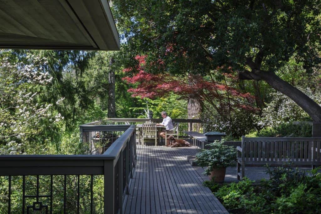 Treehouse inspired midcentury home perched on a cliffside above Puget Sound