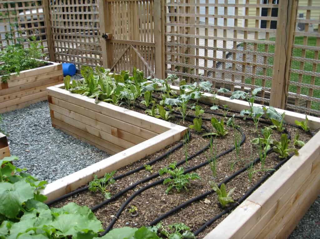 18 Of The Most Amazing Edible Kitchen Garden Ideas You'll Love