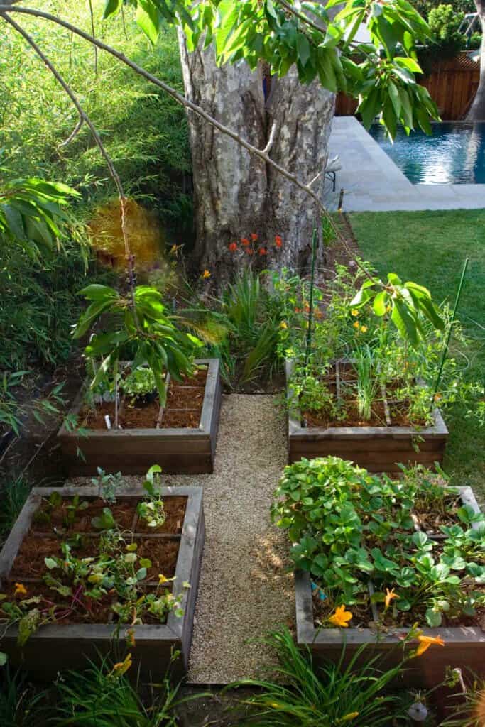 18 Of The Most Amazing Edible Kitchen Garden Ideas You'll Love