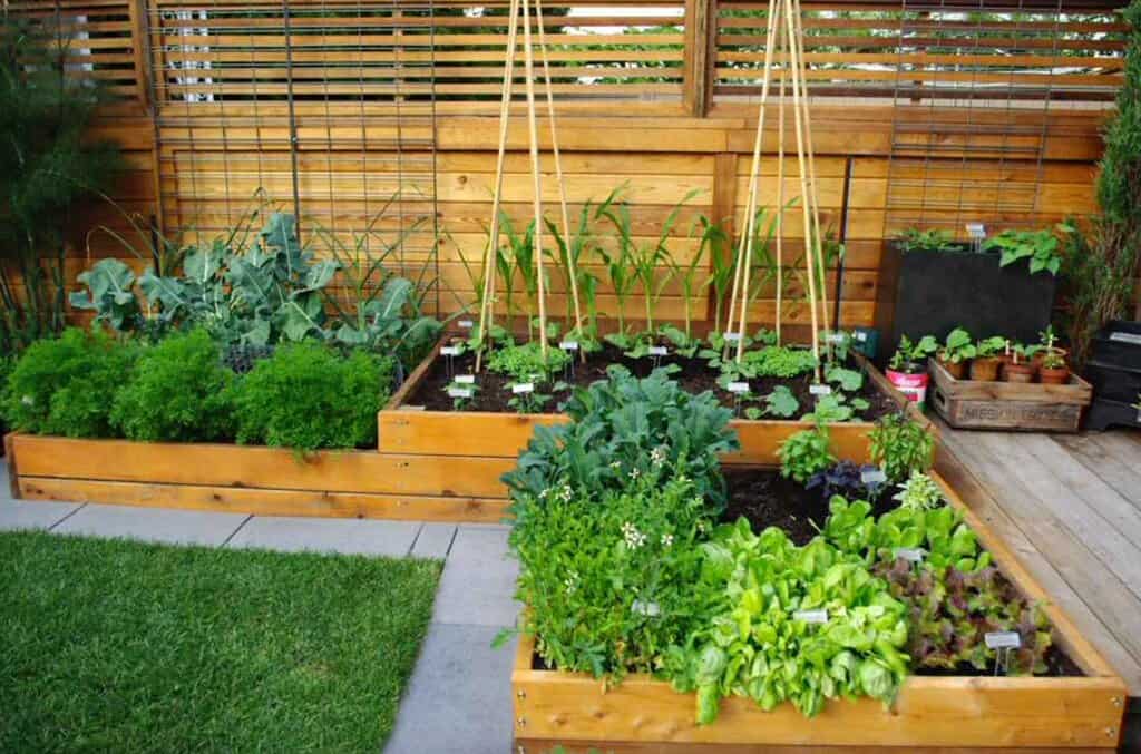 18 Of The Most Amazing Edible Kitchen Garden Ideas You'll Love