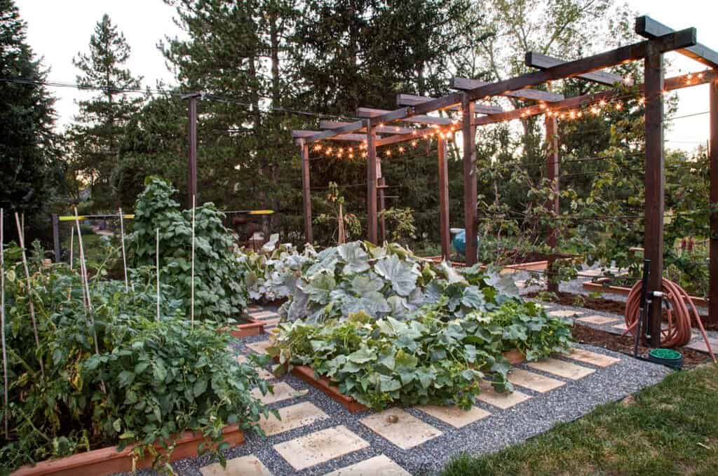 18 Of The Most Amazing Edible Kitchen Garden Ideas You'll Love