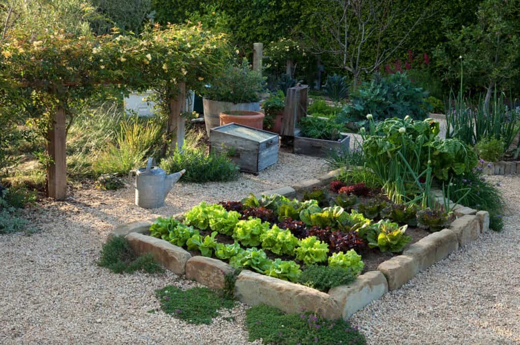18 Of The Most Amazing Edible Kitchen Garden Ideas You'll Love