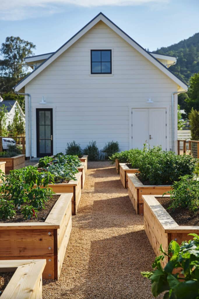 18 Of The Most Amazing Edible Kitchen Garden Ideas You'll Love