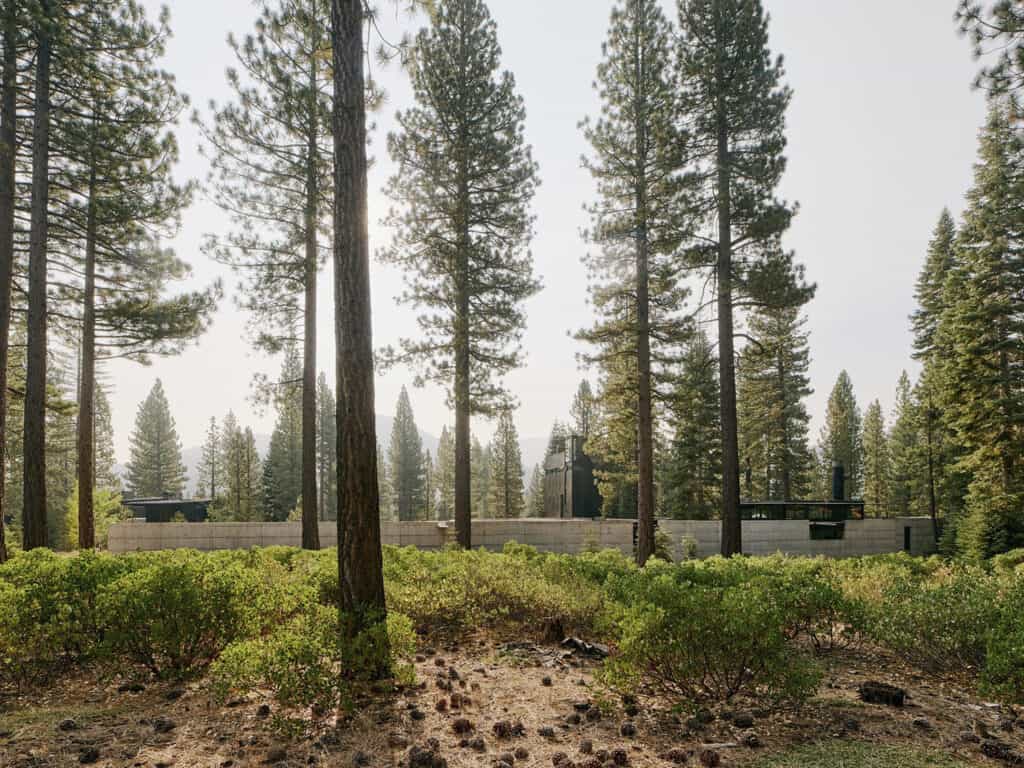 This modern tree house is a celebration of nature in California’s ...