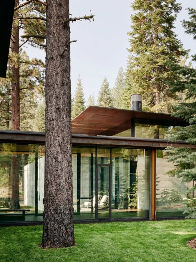 This modern tree house is a celebration of nature in California’s ...