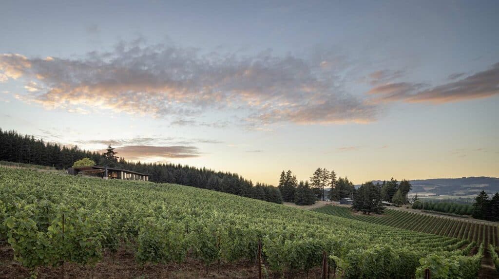 Step into this modern vineyard home in the beautiful Willamette Valley