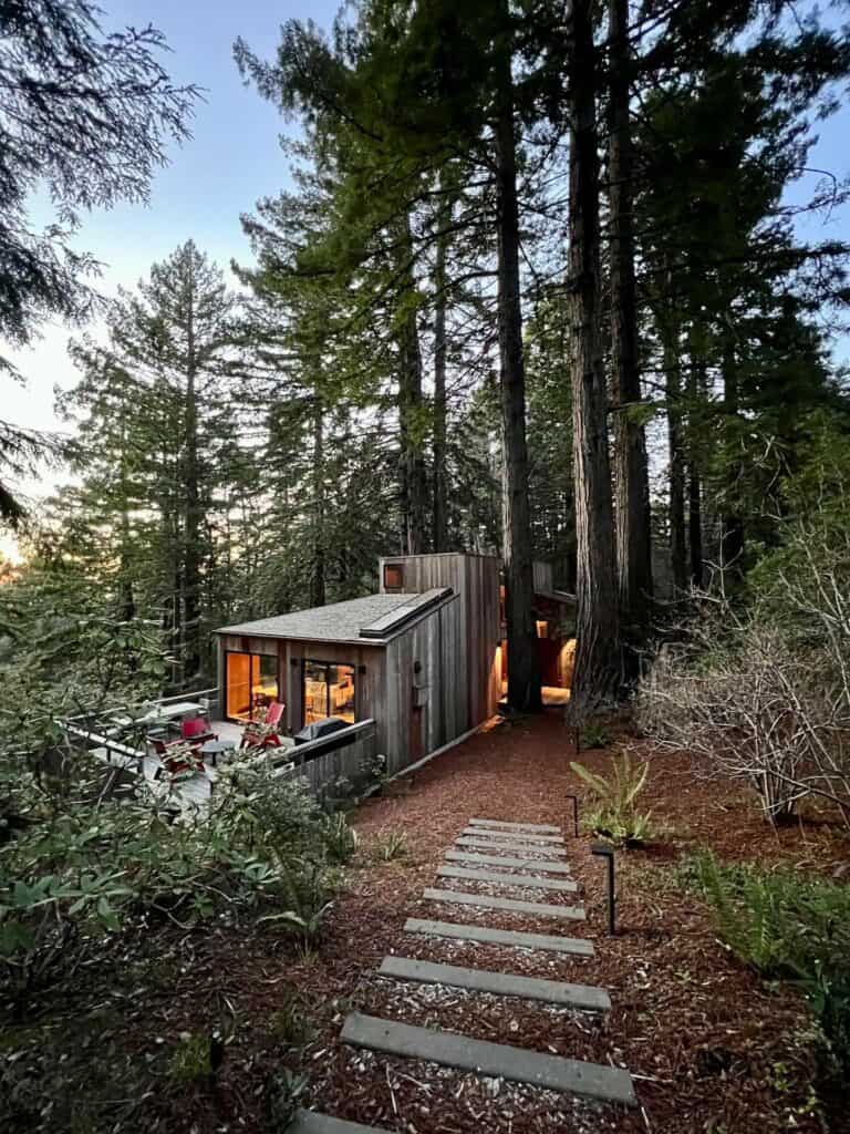 A beautiful modern cabin in harmony with a tranquil forest in Sea Ranch