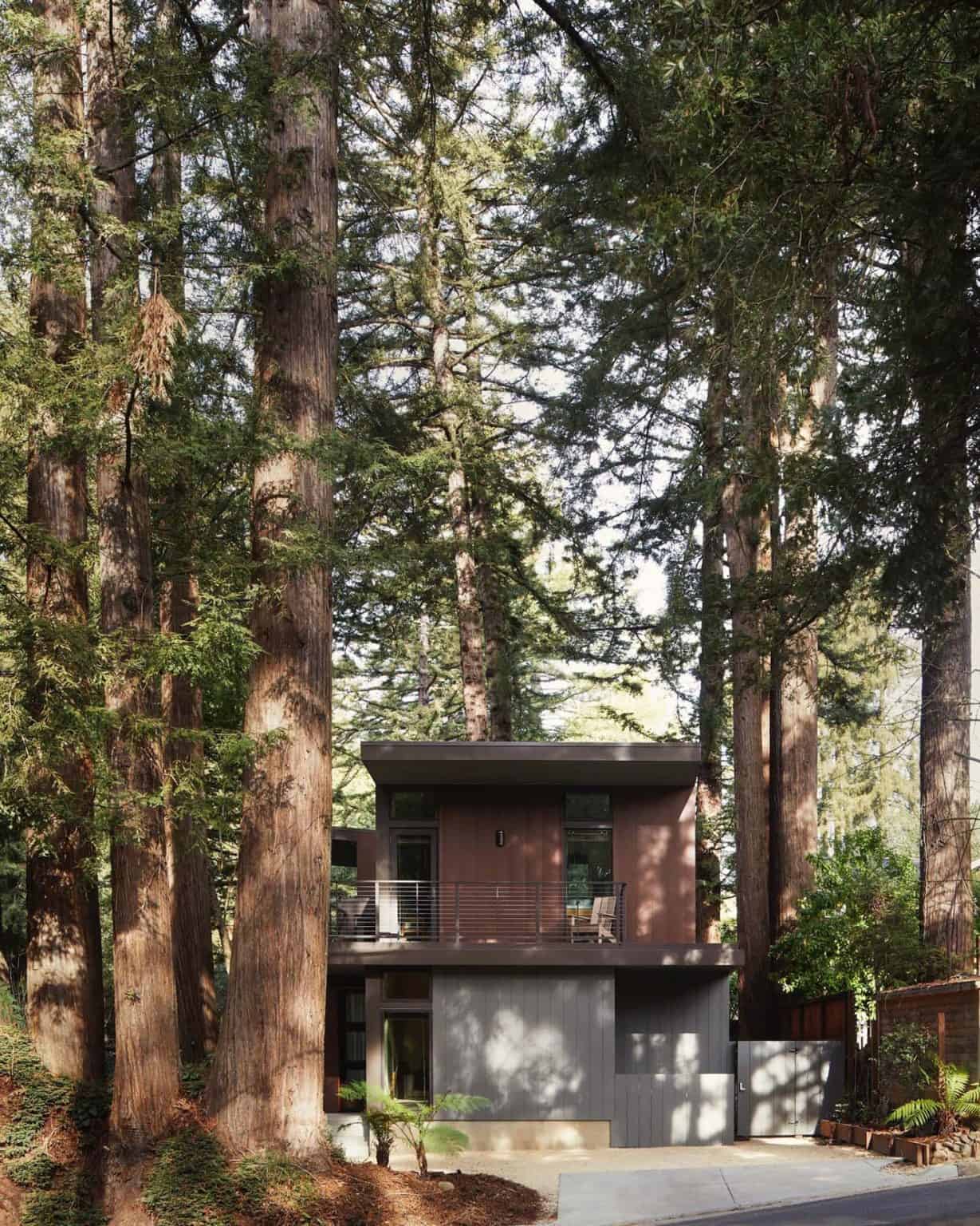 A fire resistant modern cottage tucked into a majestic redwood forest