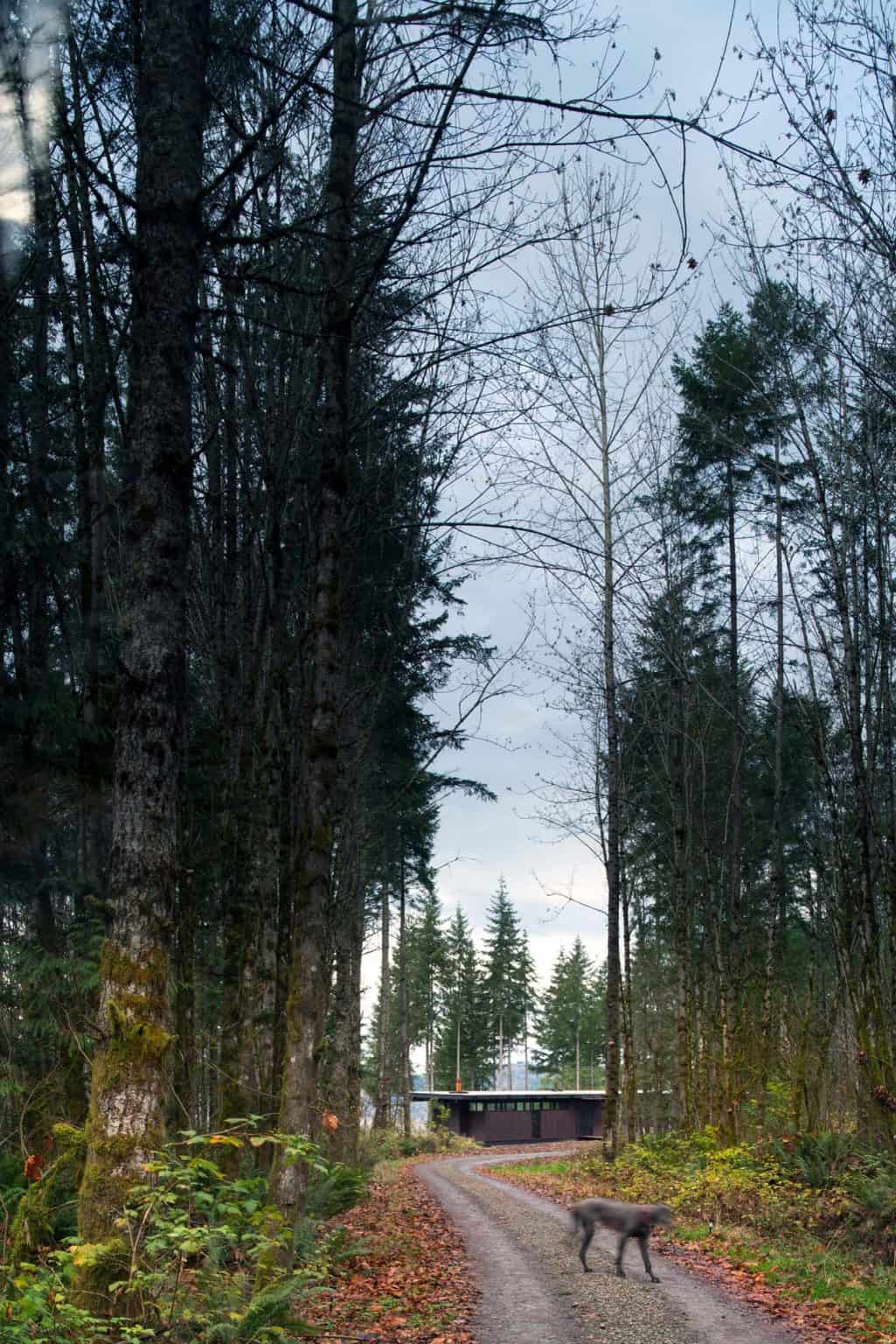 Amazing Washington forest house with a steel tower office on train tracks