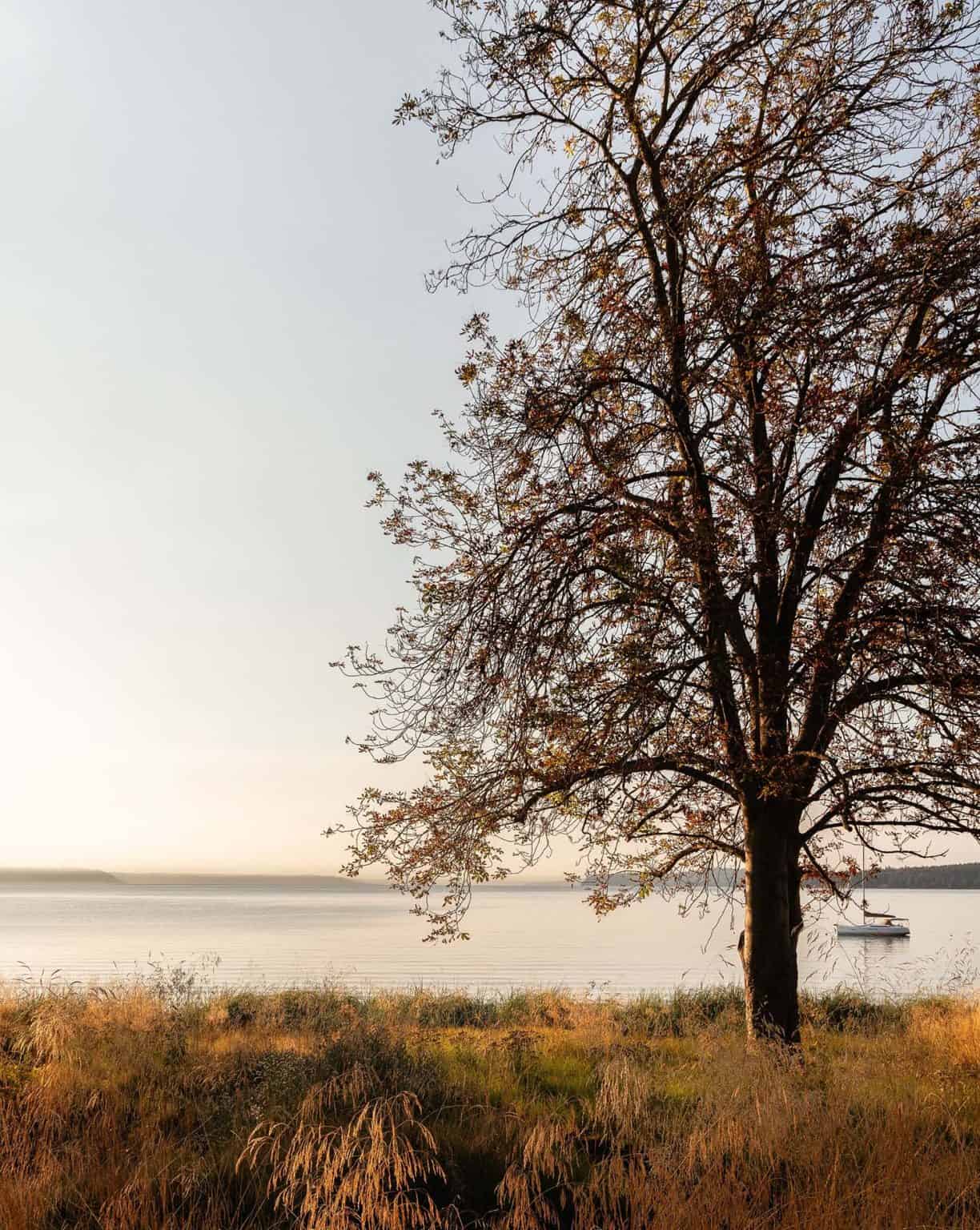 A timeless beach house designed as a forever home on Bainbridge Island