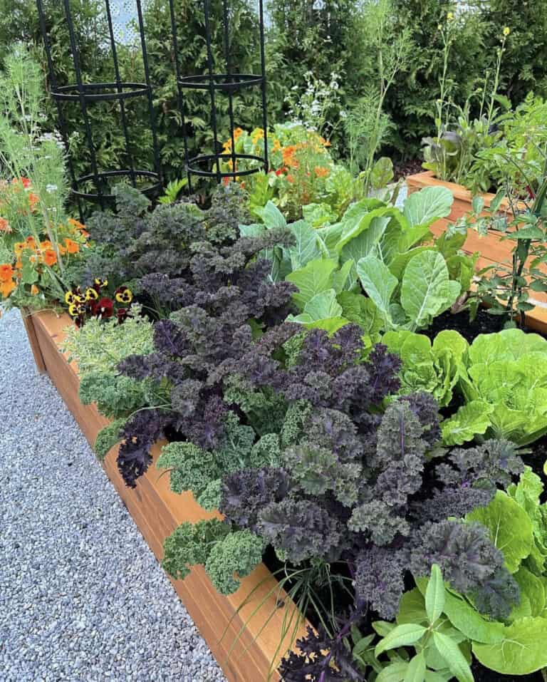 30 Clever Vegetable Garden Ideas To Make The Most Of A Small Yard