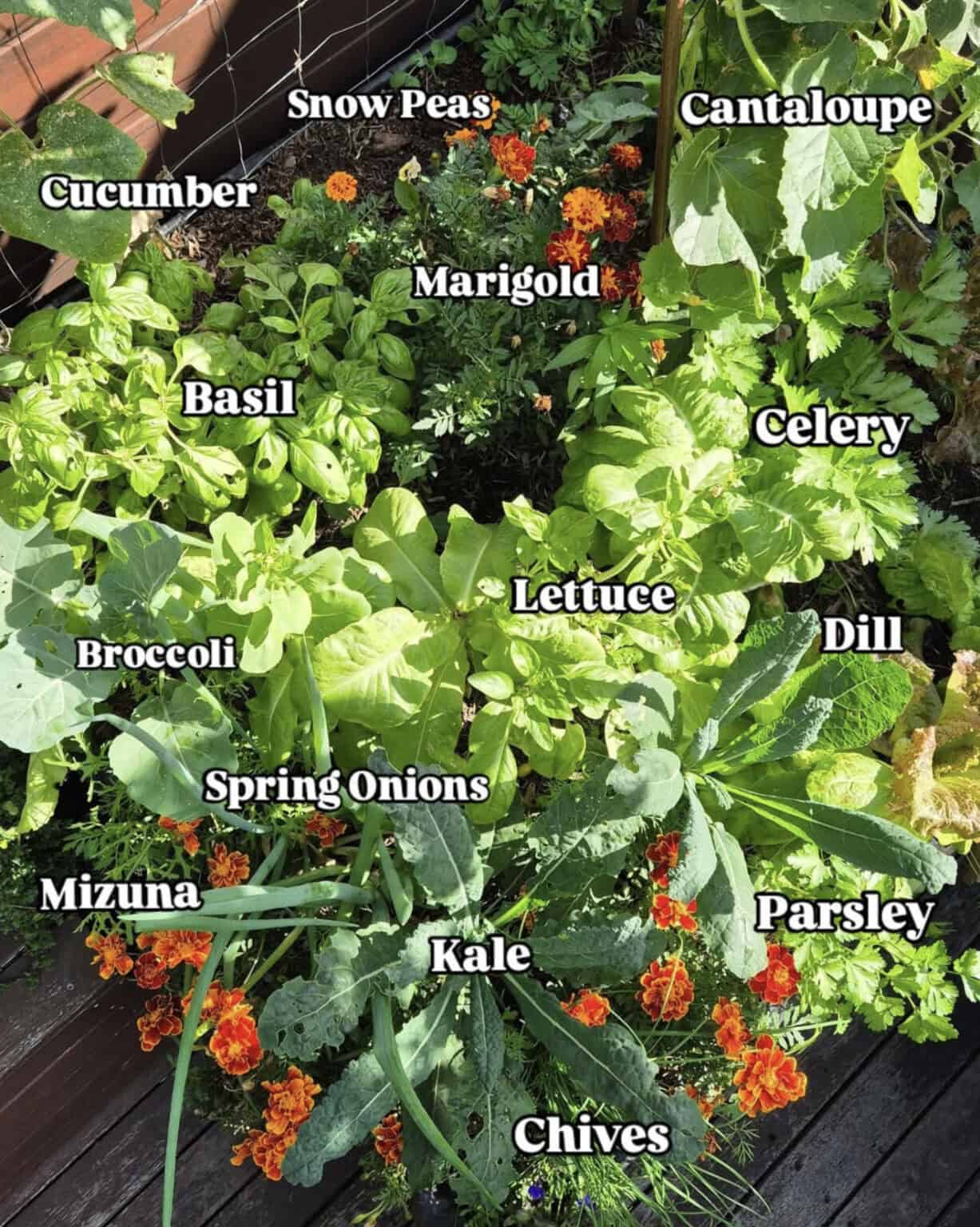 30 Clever Vegetable Garden Ideas To Make The Most Of A Small Yard