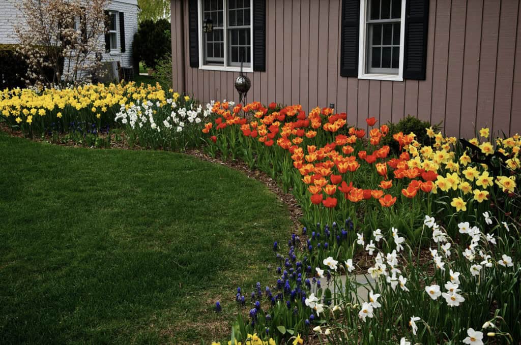 30 Stunning Flower Bed Ideas for Small Gardens to Elevate Curb Appeal
