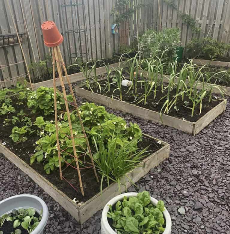 32 Clever Small Corner Garden Ideas To Transform Your Yard