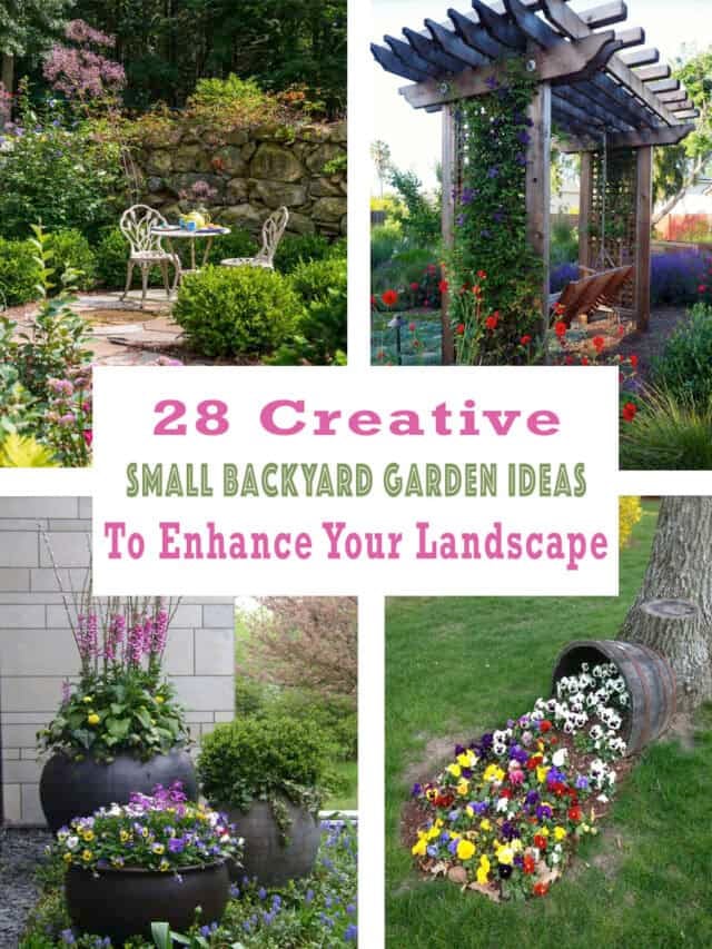 28 Creative Small Backyard Garden Ideas To Enhance Your Landscape