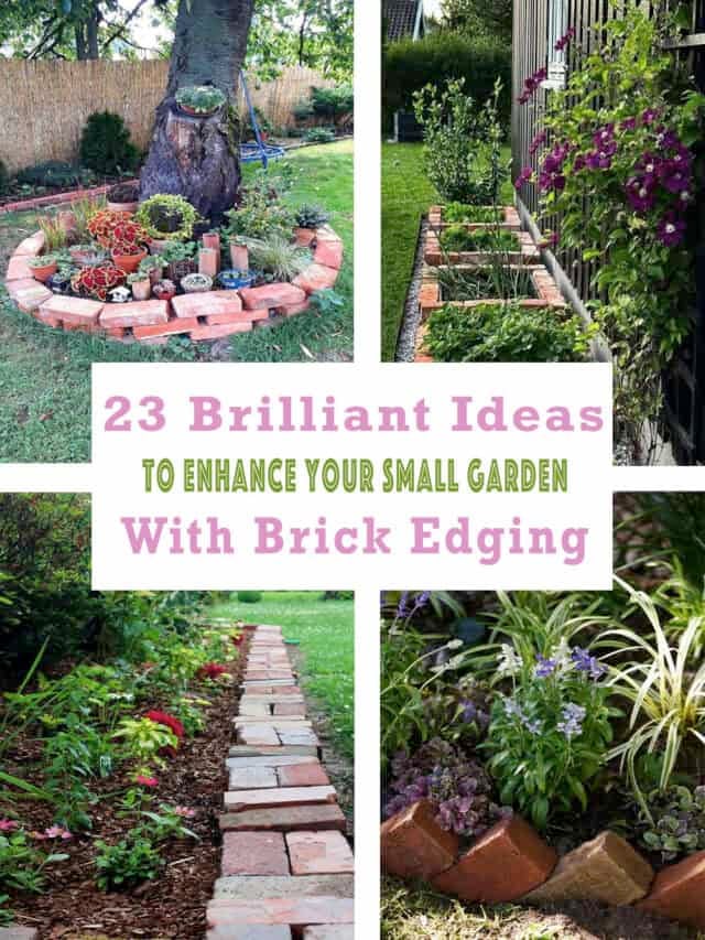 23 Brilliant Ideas to Enhance Your Small Garden With Brick Edging