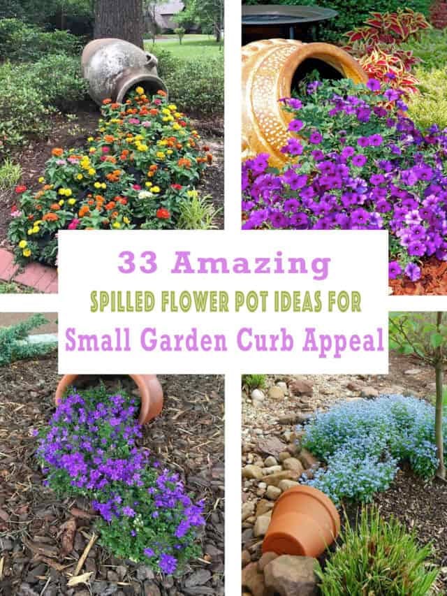33 Best Spilled Flower Pot Ideas to Boost Small Garden Curb Appeal