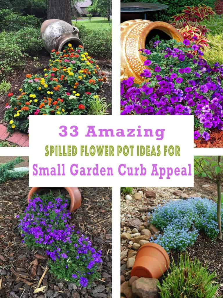 33 Best Spilled Flower Pot Ideas to Boost Small Garden Curb Appeal