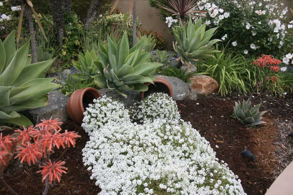 33 Best Spilled Flower Pot Ideas to Boost Small Garden Curb Appeal