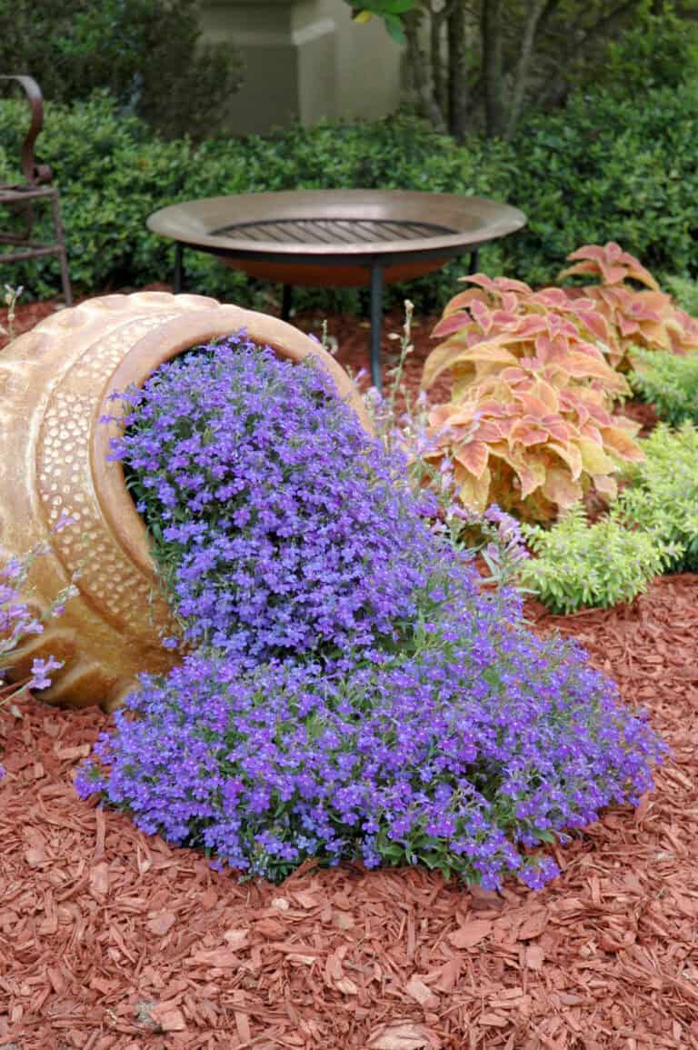 33 Best Spilled Flower Pot Ideas to Boost Small Garden Curb Appeal