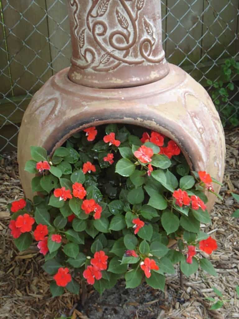 33 Best Spilled Flower Pot Ideas to Boost Small Garden Curb Appeal