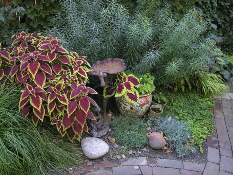 40 Dreamy Small Garden Bed Ideas to Inspire Your Outdoor Makeover
