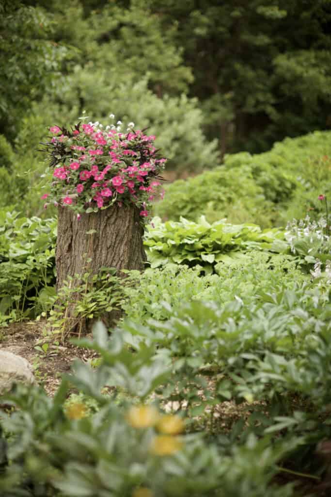 40 Dreamy Small Garden Bed Ideas to Inspire Your Outdoor Makeover