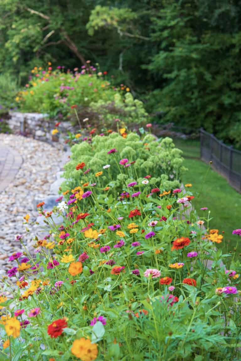 40 Dreamy Small Garden Bed Ideas to Inspire Your Outdoor Makeover