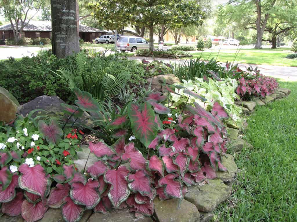 40 Dreamy Small Garden Bed Ideas to Inspire Your Outdoor Makeover
