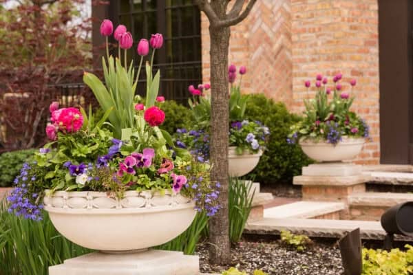 40 Dreamy Small Garden Bed Ideas to Inspire Your Outdoor Makeover