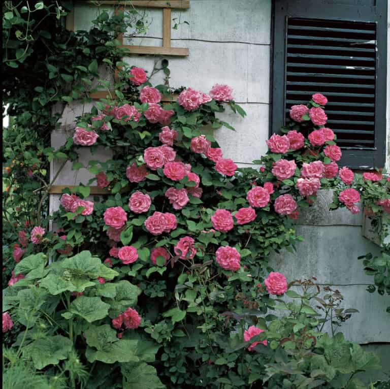40 Dreamy Small Garden Bed Ideas to Inspire Your Outdoor Makeover