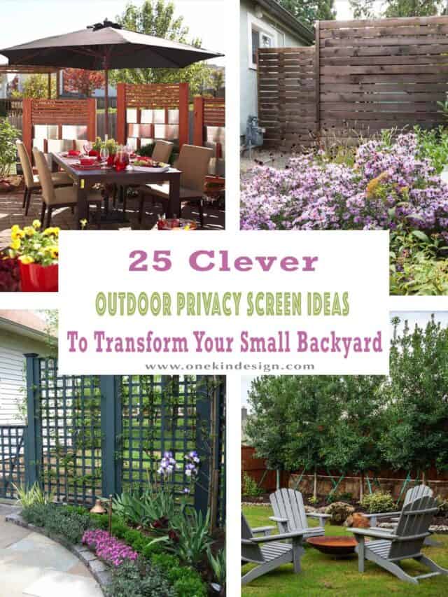 25 Clever Outdoor Privacy Screen Ideas to Transform Your Small Backyard